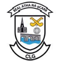 ballinagar gaa